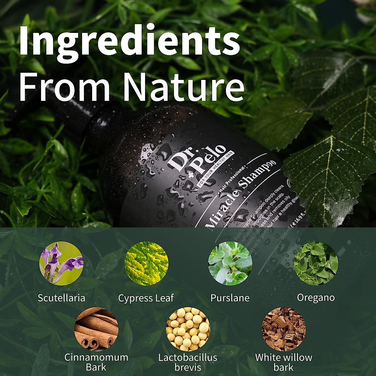 Dr.Pelo Miracle Shampoo, Shampoo for Oily Hair Types – Cool Down Your Scalp and Style Your Hair Easier