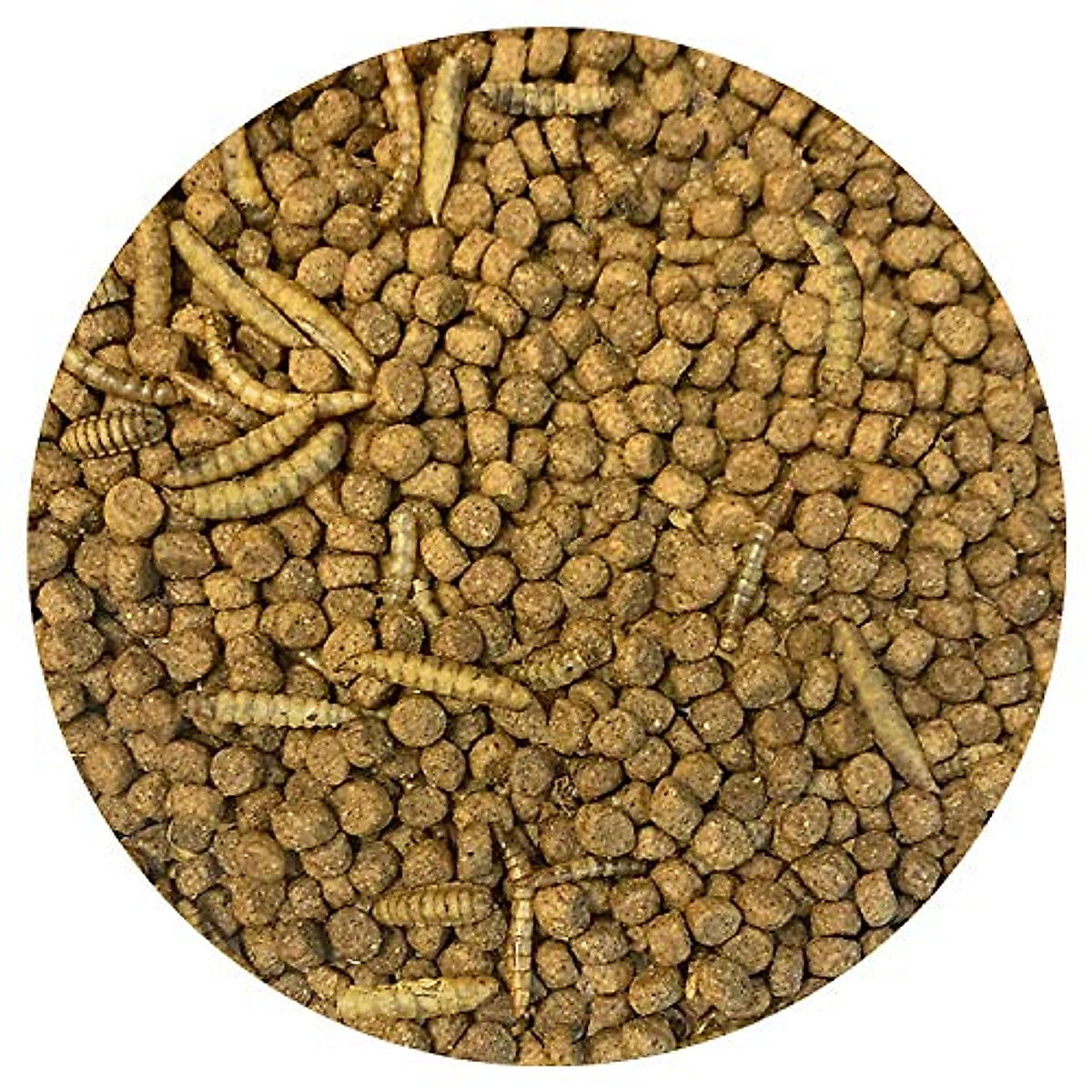 Exotic Nutrition Hedgehog Essential - Chicken Kibble with Mealworms (1.75 Pound)