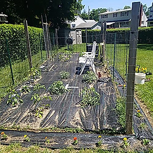 Suwimut 3 x 100 Feet Garden Weed Barrier Landscape Fabric, 3oz Heavy Duty Weed Block Gardening Mat Ground Cover Weed Cloth for Flower Bed, Mulch, Easy Setup, Superior Weed Control, Eco-Friendly