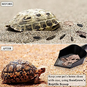 SunGrow Reptile Litter Scoop, Pointed Edge, for Cat & Chicken Coop, Right-Angled Wide and Deep Shovel, Black, 1 Pc per Pack