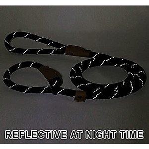 Slip Lead Dog Leash, Reflective Mountain Climbing Rope Leash, Dog Training Leash – 5FT, 2 Sizes (Medium, Turquoise)