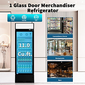 okeyolive 11 Cu Ft Commercial Merchandiser Refrigerator, Glass Door Upright Display Fridge with LED Lighting, Large Freestanding Beverage Cooler