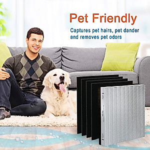 Flintar H13 True HEPA Replacement Filter Combo Pack, Compatible with Vornado Air Purifier, (1) H13 True HEPA Filter MD1-0022 + (4) Activated Carbon Pre-Filter MD1-0023, 1-Year Filter Set