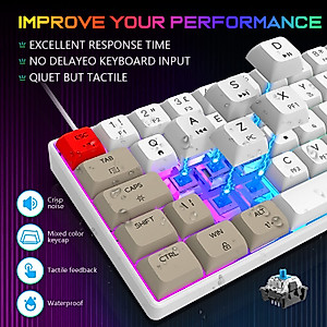 Mini Mechanical Gaming Keyboard Type-c Wired with PBT Dye-subbed Keycaps Rainbow RGB Backlit 60%Layout Full Anti-Ghosting 62 Key Ergonomic for Typist Laptop PC Mac Gamer (White Main/Blue Switch)