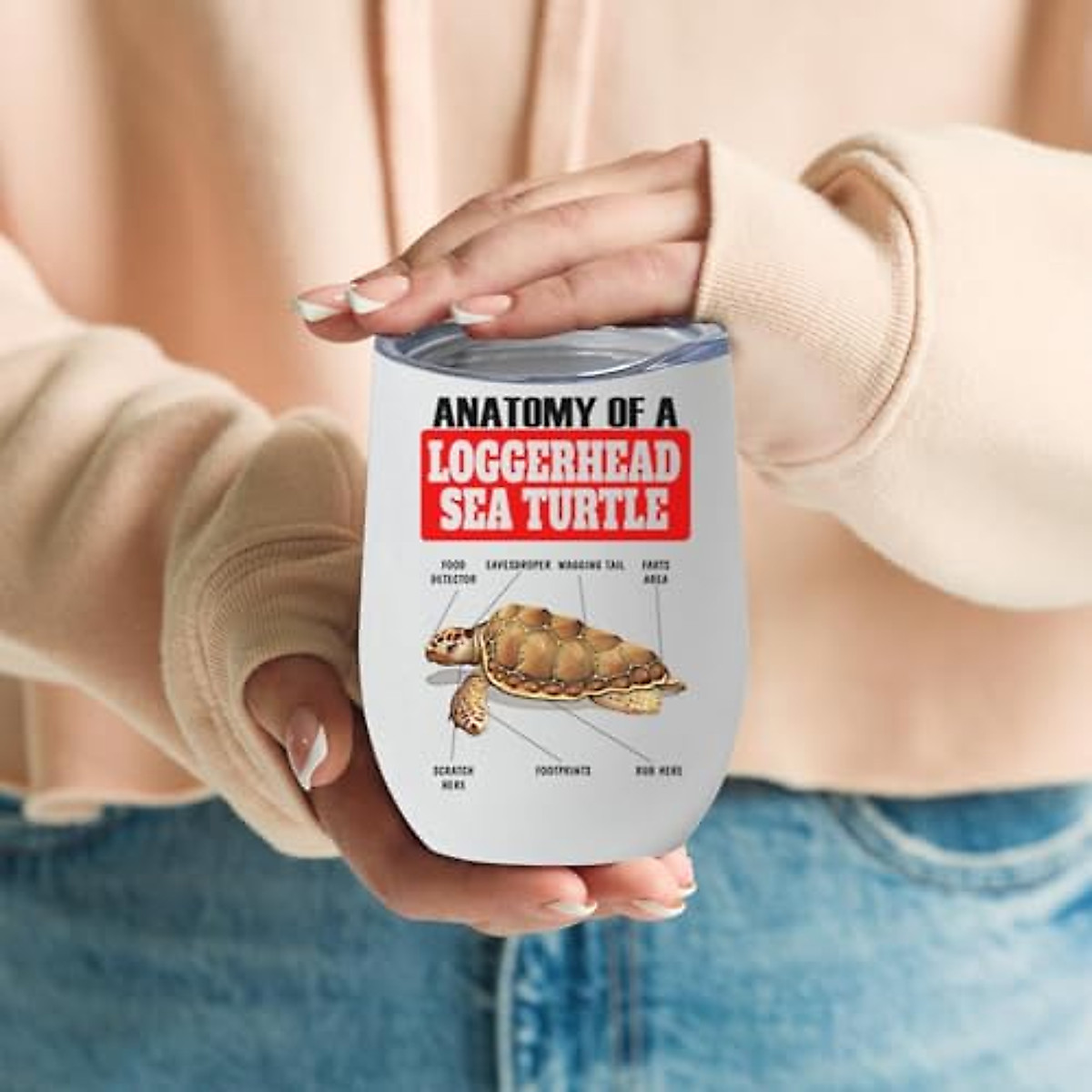 Loggerhead Sea Turtle Tumbler 12oz - Funny Anatomy Chart Design - Stainless Steel Vacuum Insulated Wine Cup With Lid - Gifts for Turtle Lovers