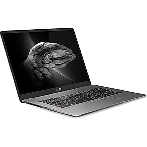 MSI Creator Z16 A11UET-013 Gaming & Entertainment Laptop (Intel i7-11800H 8-Core, 64GB RAM, 1TB PCIe SSD, RTX 3060, 16.0" 120Hz Touch Wide QXGA (2560x1600), Win 11 Pro) (Renewed)