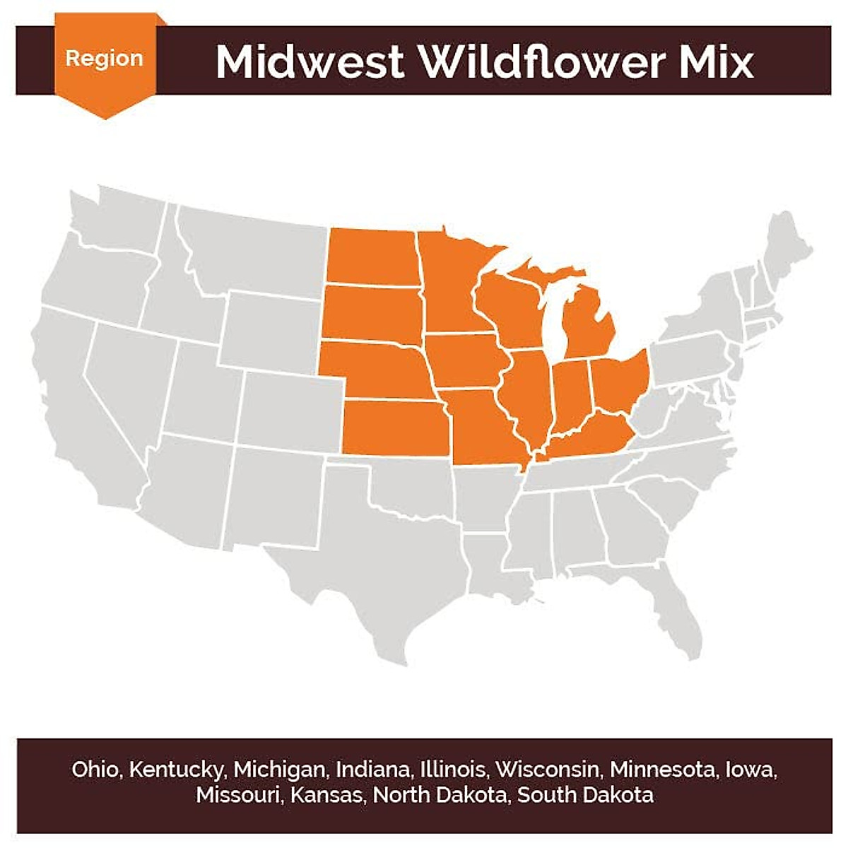 Midwest All Perennial Wildflower Seed Mix - 5 Pounds - Mixed Wildflower Seeds, Attracts Bees, Attracts Butterflies, Attracts Hummingbirds, Attracts Pollinators, Easy to Grow & Maintain, Cut Flower
