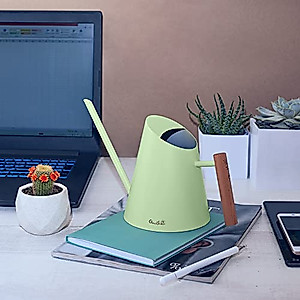 Grehge an Indoor Plants, Small Stainless Water Can Wooden Handle for House and Office Bonsai Flowers, Cute Watering Can Garden Sculpture Outdoor Decoration