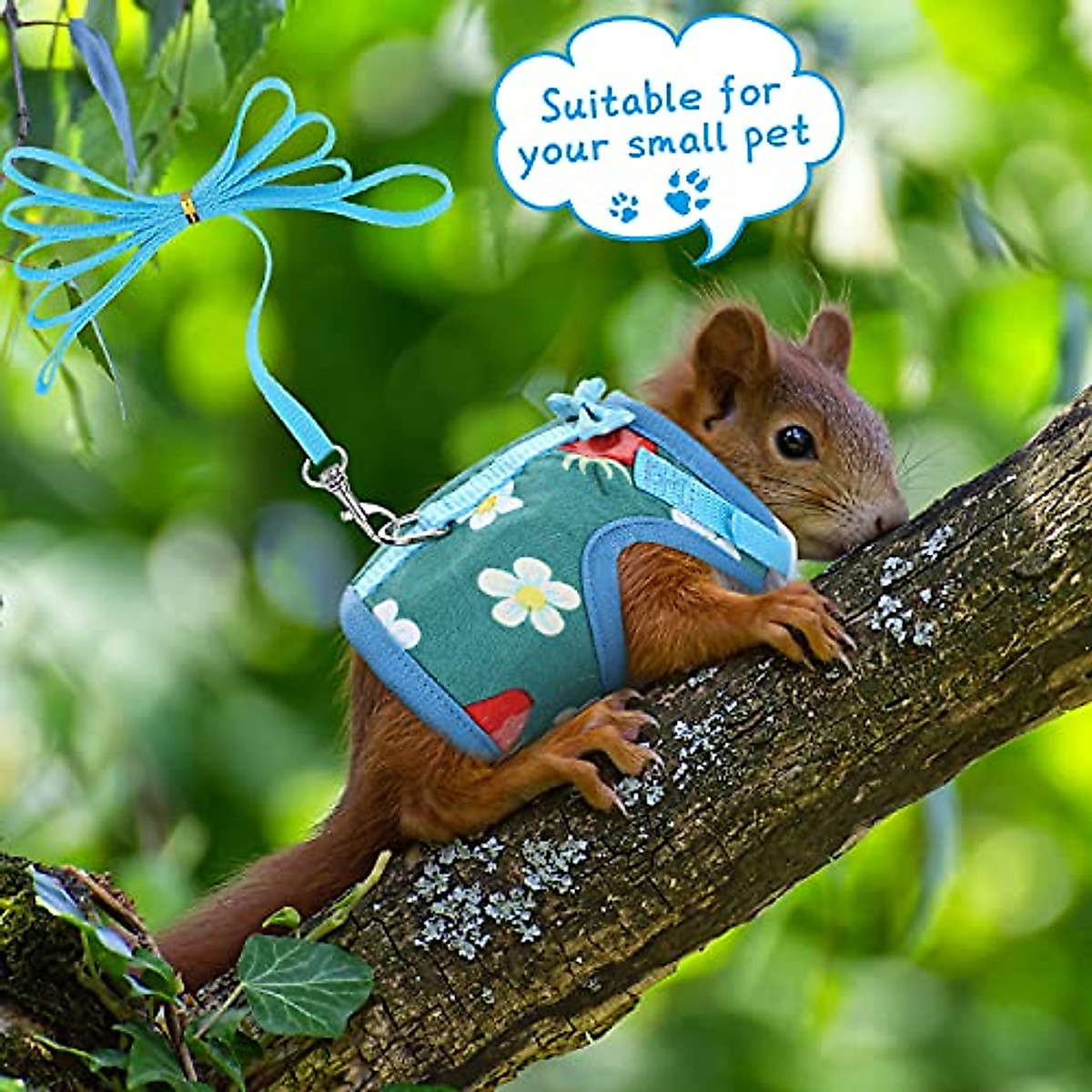 3 Pieces Guinea Pig Harness with Leash Small Pet Harness Fruit Plaid Pattern Adjustable Padded Walking Vest for Pet Hamster Ferret and Squirrel Small Animals (Pineapple, Red Plaid, Strawberry, Small)
