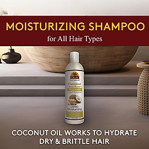 OKAY Coconut&Shea Butter Shampoo Helps Fortify,Strengthen,and Revitalize Hair Sulfate,Silicone,Paraben Free For All Hair Types and Textures Made in USA 12oz
