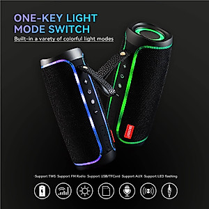 Bluetooth Portable Speaker,Wireless Bluetooth Speakers V5.1USB Card,Micro SD Card,Bluetooth Speaker with Lights,Wireless Speakers with Bluetooth for Outdoor,Indoor,Travel,Beach,Camping (Silver)