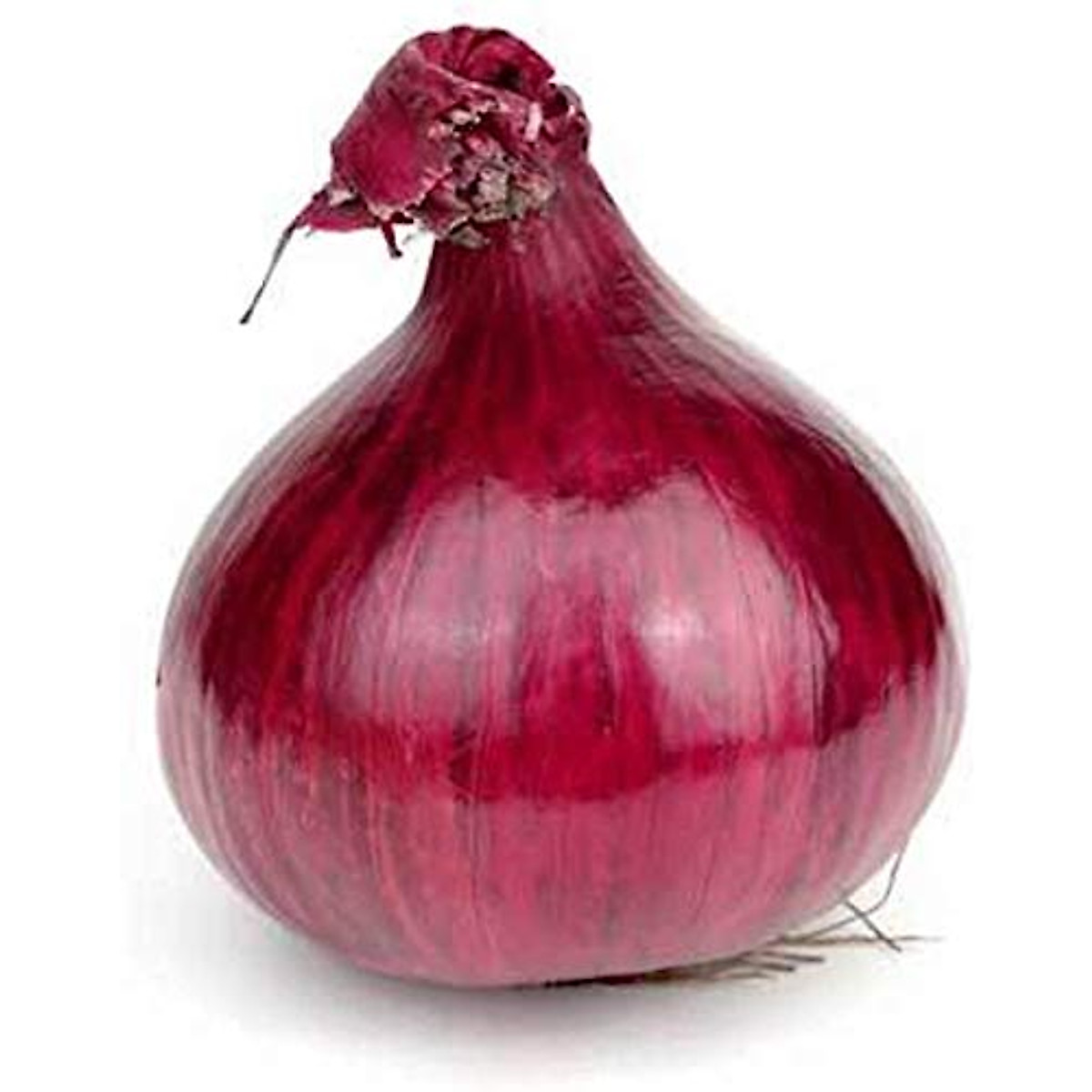 Red Grano Onion Seeds for Planting, 300+ Heirloom Seeds Per Packet, (Short Day) Non GMO Seeds, (Isla's Garden Seeds), Botanical Name: Allium cepa