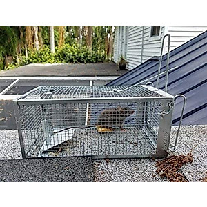 JGRZF Quality Chipmunk Trap 1 Door Humane Live Animal Mouse Cage Rat Mouse Mice Traps for Small Rodent Animals, for Indoor and Outdoor