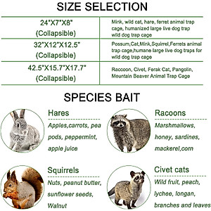 32" Live Animal Cage Trap, Humane Cat Trap Galvanized Iron,Heavy Duty Folding Animal Trap with Handle for Rabbits, Stray Cats, Raccoons,Groundhogs and Opossum(32 * 12 * 12.5inch)