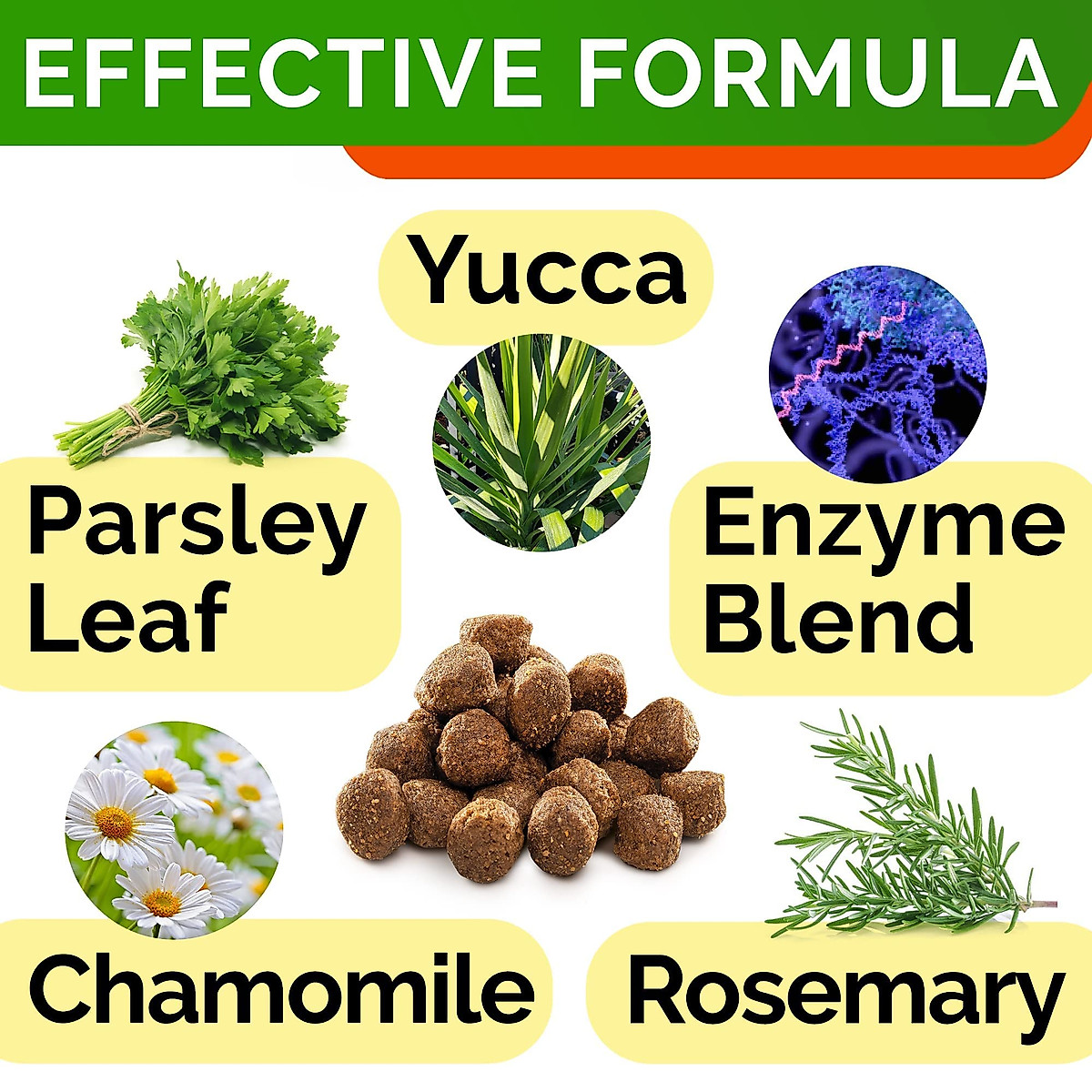 No Poo Treats + Dog Probiotics for Picky Eaters Bundle - No Poop Eating for Dogs + Chewable Fiber Supplement - Digestive Enzymes + Prebiotics - Coprophagia Stool Eating Deterrent + Improve Immunity