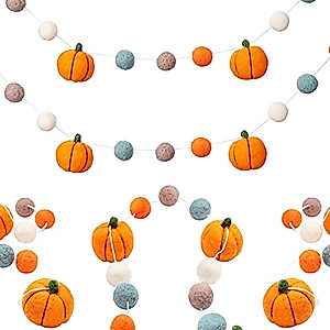 2 Pieces Fall Felt Pumpkin Ball Garland Orange Felt Ball Banner Fall Autumn Felt Ball Pom Pom Garland Felt Pumpkin Garland Decor for Fall Autumn Thanksgiving Home Hanging Party Favors, 70.9 Inches
