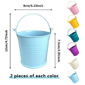12 Pack Mini Metal Buckets Small Metal Pail Tinplate Tin Pails Containers with Handles for Party Favors and Garden Decorations