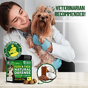 Flea and Tick for Dogs Chewable Pills - No Harsh Chemicals - 100 Chicken Flavored Treats - Guardian's Choice Pets Brand - Tasty Chews Dogs Love - Flea Pills for Dogs