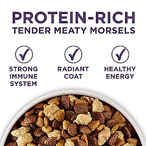 Purina ONE High Protein Dry Senior Dog Food Plus Vibrant Maturity Adult 7 Plus Formula - 31.1 lb. Bag