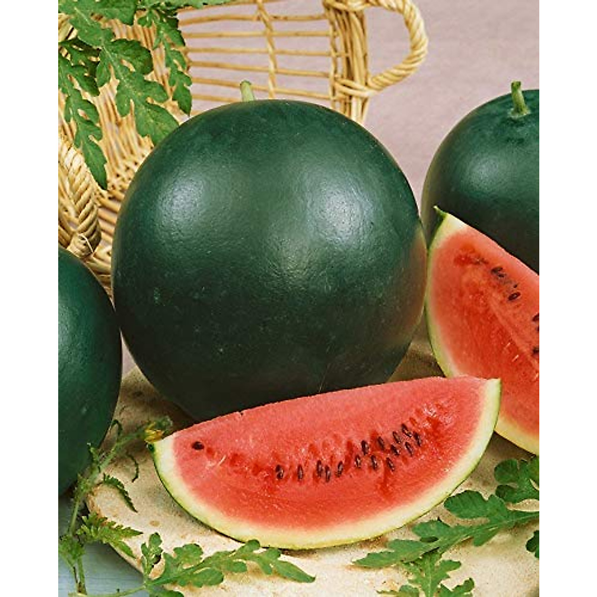 CEMEHA SEEDS Watermelon Black Beauty Early Rare Giant Fruit Heirloom Organic Non-GMO
