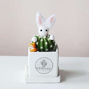 Pink White Ceramic Pots for Plants Succulent Pot Macetas De Ceramica Balcony Decorations Round Square Bonsai Pot Flowerpot Home (Color : 192-4)