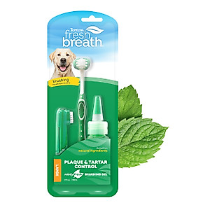 TropiClean Fresh Breath Dog Oral Care Kit | Complete Dog Toothbrush and Toothpaste Set for Plaque & Tartar Control | Dog Tooth Brushing Kit for Large Dogs