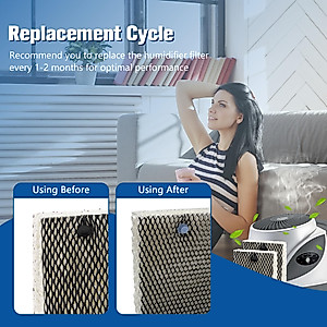 Funmit Humidifier Filter E Replacement Compatible with Holmes HWF100 Bionaire BWF100 Sunbeam SF235 Series, 6 Pack