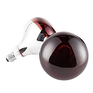 TOPHORT 2 Pack Heat Lamp Bulb R40/250 Watts, Red Heat Lamps Outdoor Bulbs for Pets Flood Light Bulb for Chickens Infrared Reflector,E26 Base(250W, Red)