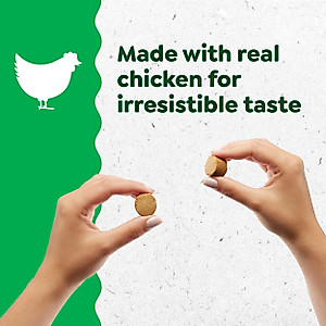 Greenies Supplements Digestive Health Probiotics for Dogs Chicken Flavor, 15.6 oz. Tub of 80 ct. Soft Chews Dog Probiotics