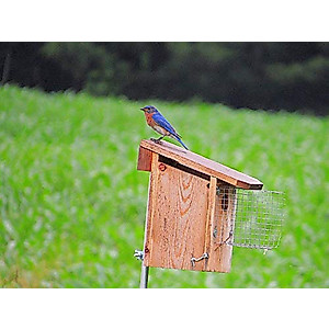 Flowing River Farm- Bird House Wire Entrance Predator Guard