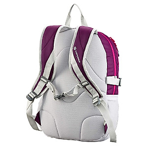 Caribee Apache Daypack (Grape/Snow)