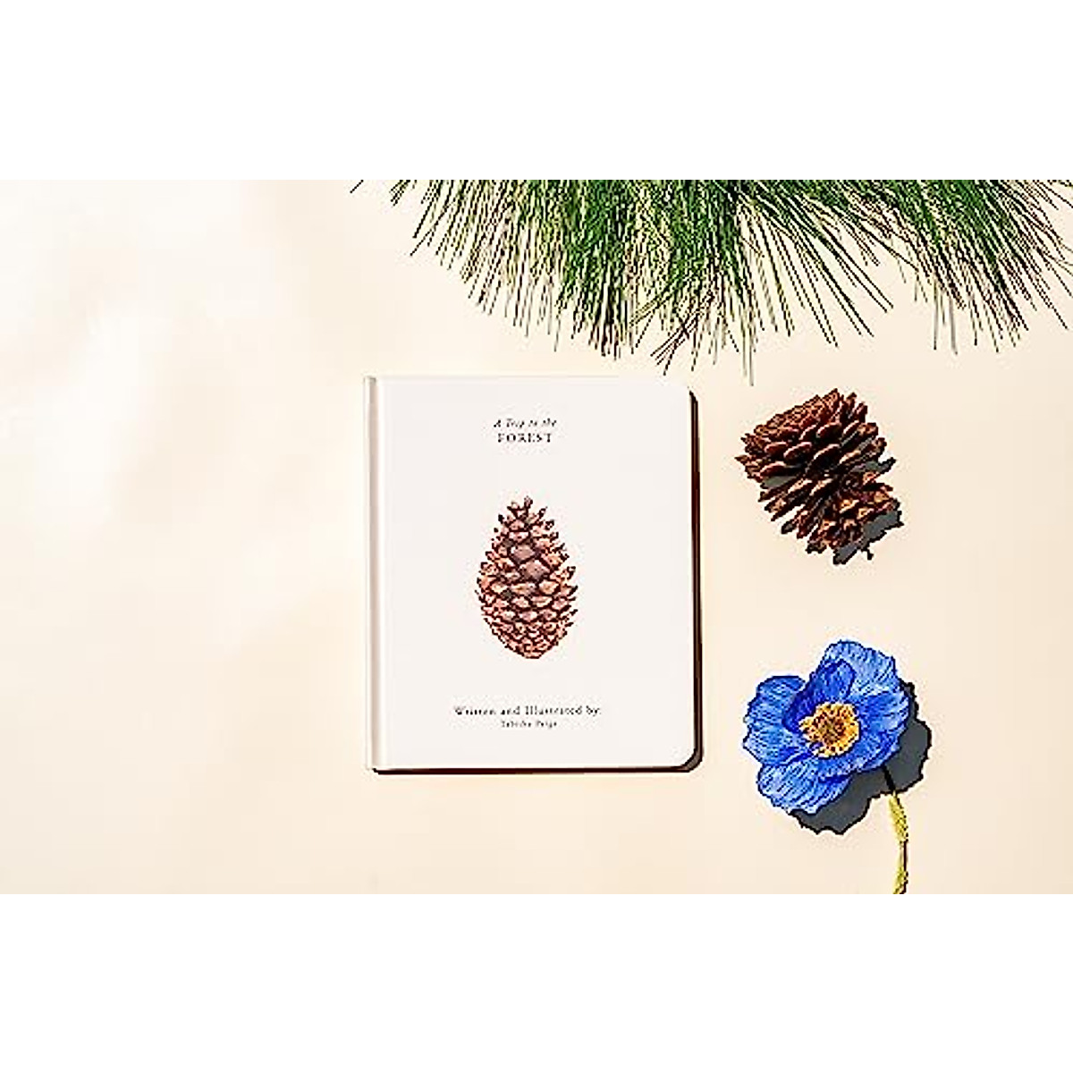 Our Little Adventures: Stories Featuring Foundational Language Concepts for Growing Minds (Our Little Adventures Series)