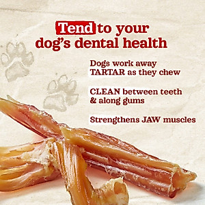 Natural Farm Extra-Thick Beef Tendons (4-6 Inch, 6 Pack), Natural Chondroitin and Collagen: Supports Healthy Joints, Great for Dental Health – Made & Packaged, All Dog Sizes