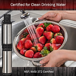 Red Lion RL12G07-2W2V 4-inch Submersible Deep Well Pump, 3/4 HP, 12 GPM 2-Wire, 230 Volts, Steel, 14942403