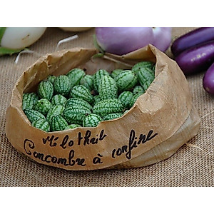 70pcs Cucamelon Seeds - Mexican Sour Gherkin Mini Thumb Watermelon Vegetable - Easy Planting Tips for Home Gardeners
