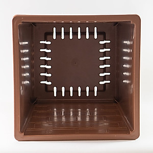 Calibonsai 2 x Japanese Plastic Bonsai Training Pot Flower Garden Planter 10 inchx 10 inchx 7.75 inch, Dark Brown