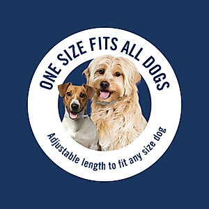 PetArmor Plus Flea & Tick Collar for Dogs, Kills Fleas & Ticks, Long Lasting Protection for 12 Months, Water Resistant, One Size Fits All, 2 Collars