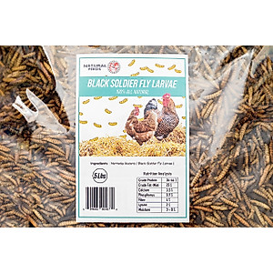 Natural Feeds Dried Black Soldier Fly Larva for Chickens 5Ib Bags - 85X More Calcium Than Meal Worms - Non-GMO Poultry Feed & Molting Supplement - for Hens Ducks Wild Birds