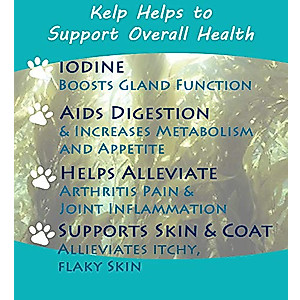 Icelandic Kelp Meal, 5lbs