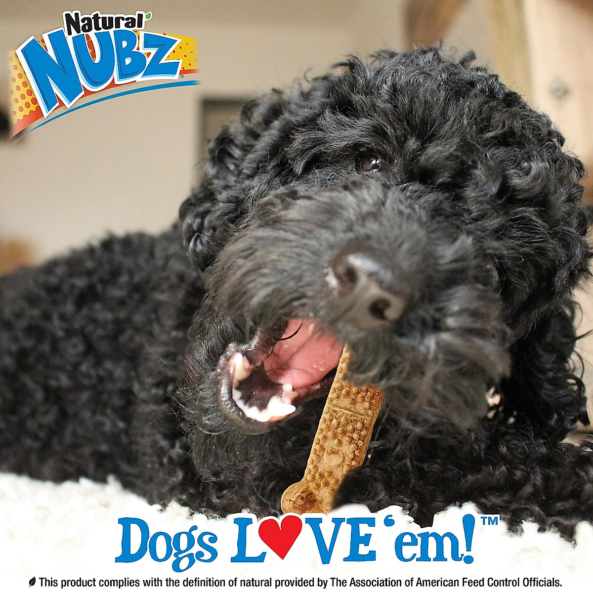 Nylabone Nubz Wild Natural Edible Chew Treats for Dogs, Made in USA, Bison Flavor, Large - Up to 50 lbs. (2 Count)