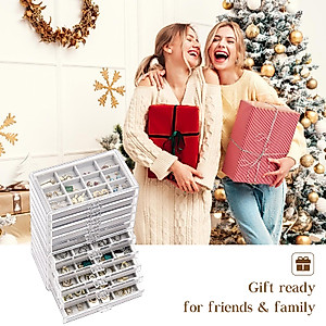 ProCase Earring Holder Organizer Jewelry Box with 10 Drawers, Acrylic Clear Earring Case with Adjustable Velvet Trays for Women - Grey, 10 Layers