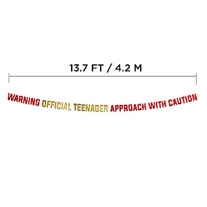 Warning Official Teenager Approach With Caution Gold Glitter Banner - 13th Birthday Party Supplies, Ideas, Gifts and Decorations