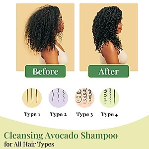 NaturAll Cleansing Sulfate-Free Avocado Shampoo | All Natural, Silicone-Free, Paraben-Free, Cruelty-Free | For Dry, Curly, Coily, or Frizzy Hair | 8 oz