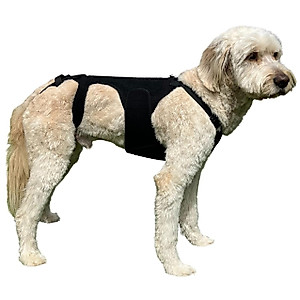 Labra Dog Canine K9 Back Brace - IVDD Spine Pain & Spinal Injury, Arthritis, Bulging Discs Brace for Corgis, Dachshund, Post Surgery Recovery, Rehab, Inflammation - Small