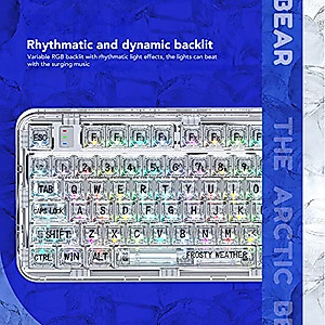 Acogedor 80 Keys Mechanical Gaming Keyboard with Transparent Case, Type C Wired, for Bluetooth and 2.4GHz Wireless Connection, Gasket Structure, for Win, for OS X, for iOS, for Android