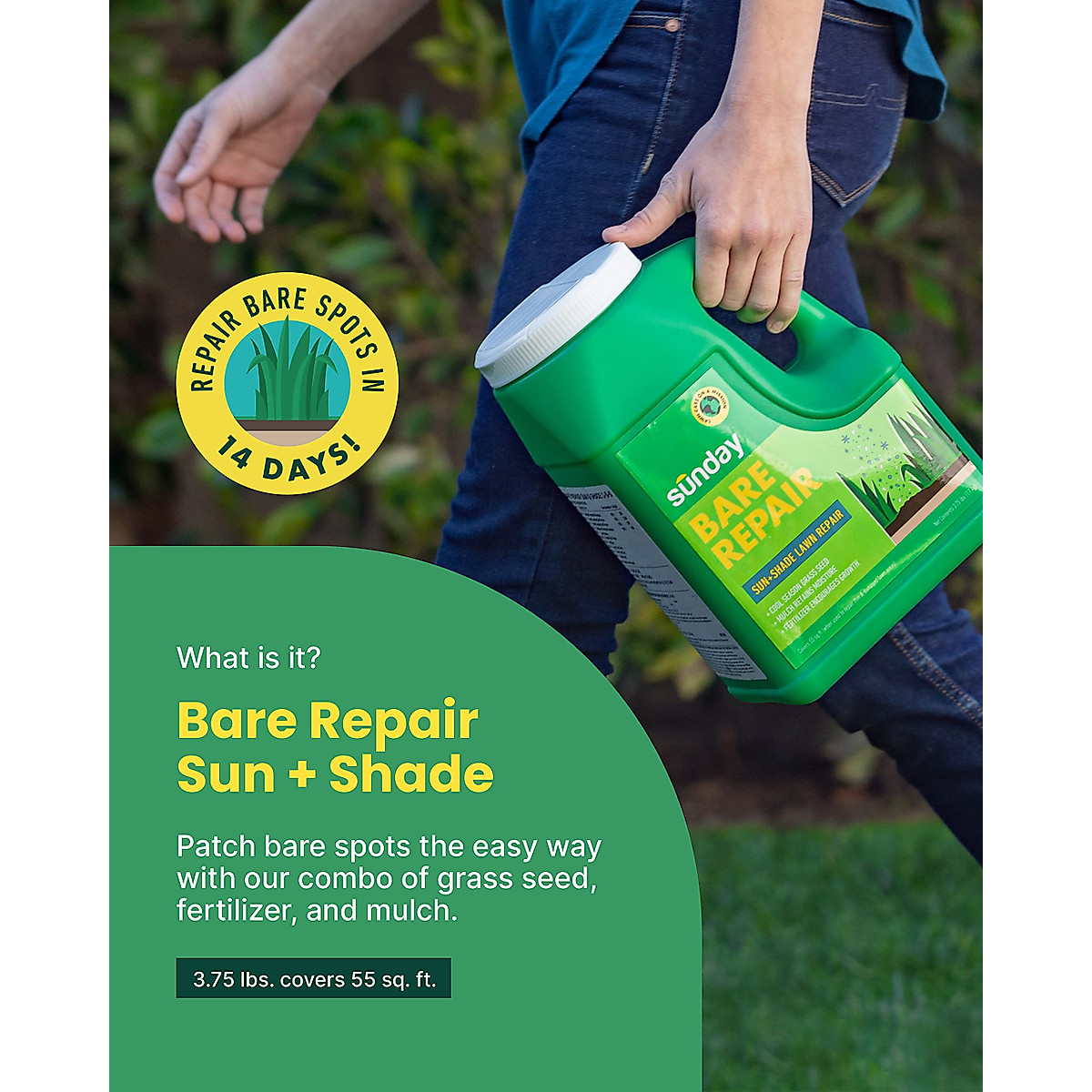 Sunday Bare Repair Sun and Shade Grass Seed Spot Treatment - Grass Seed for Shade and Hard to Grow Areas - Lawn Patch Repair That Works in 14 Days or Less - 3.75lb Jug (Covers 55 Sq Ft)