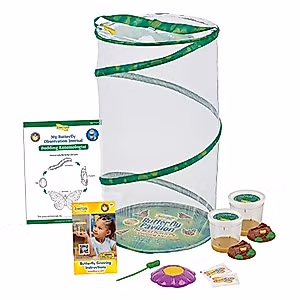 Insect Lore Butterfly Pavilion: Pavilion Habitat and Two Live Cups of Caterpillars with STEM Butterfly Journal – Life Science & STEM Education – Butterfly Kit