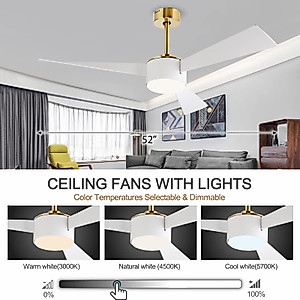 Fanliving 52 Inch Ceiling Fan with Lights Remote Control, Indoor Modern Ceiling Fan with High CFM Quiet DC Motor, 3 Blade White Gold Ceiling Fan for Bedroom Living & Dining Room