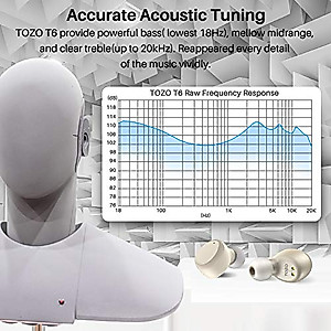 TOZO T6 True Wireless Earbuds Bluetooth 5.3 Headphones Touch Control with Wireless Charging Case IPX8 Waterproof Stereo Earphones in-Ear Built-in Mic Headset Premium Deep Bass Champagne(2022 Upgraded)