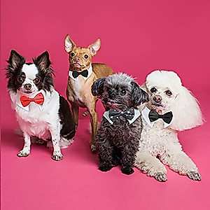 Bowtie for Dog, KOOLMOX Dog Bow Tie Collar Black, Adjustable White Dog Tuxedo Collar with Black Dog Neck Bow Tie for Medium Large Boy Dog Wedding Formal Tuxedo Suit Tux Outfits Birthday Costumes